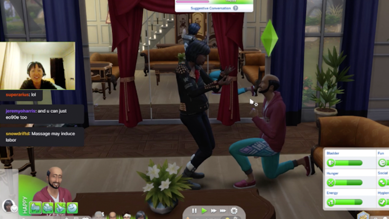 NYTW / THE SEAGULL ON THE SIMS 4